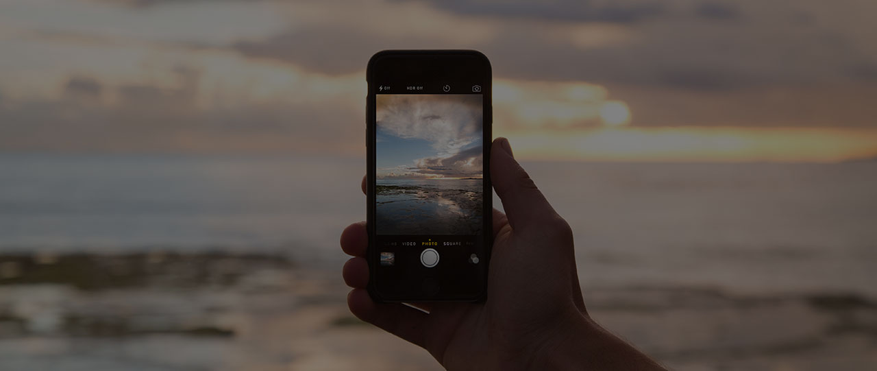 Google Hummingbird NEW Search Algorithm is here! | WEBITMD